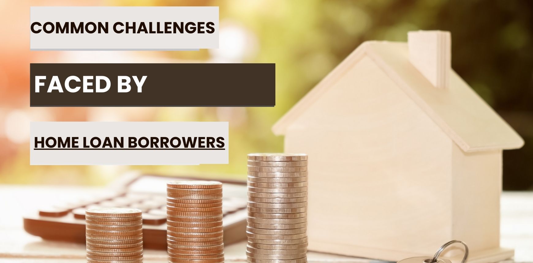 COMMON PROBLEMS FACED BY HOME LOAN BORROWERS IN GETTING A HOME LOAN